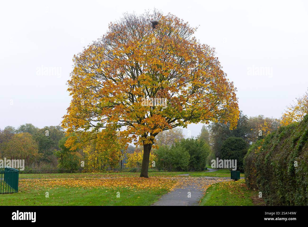Ilford, east London Stock Photo - Alamy