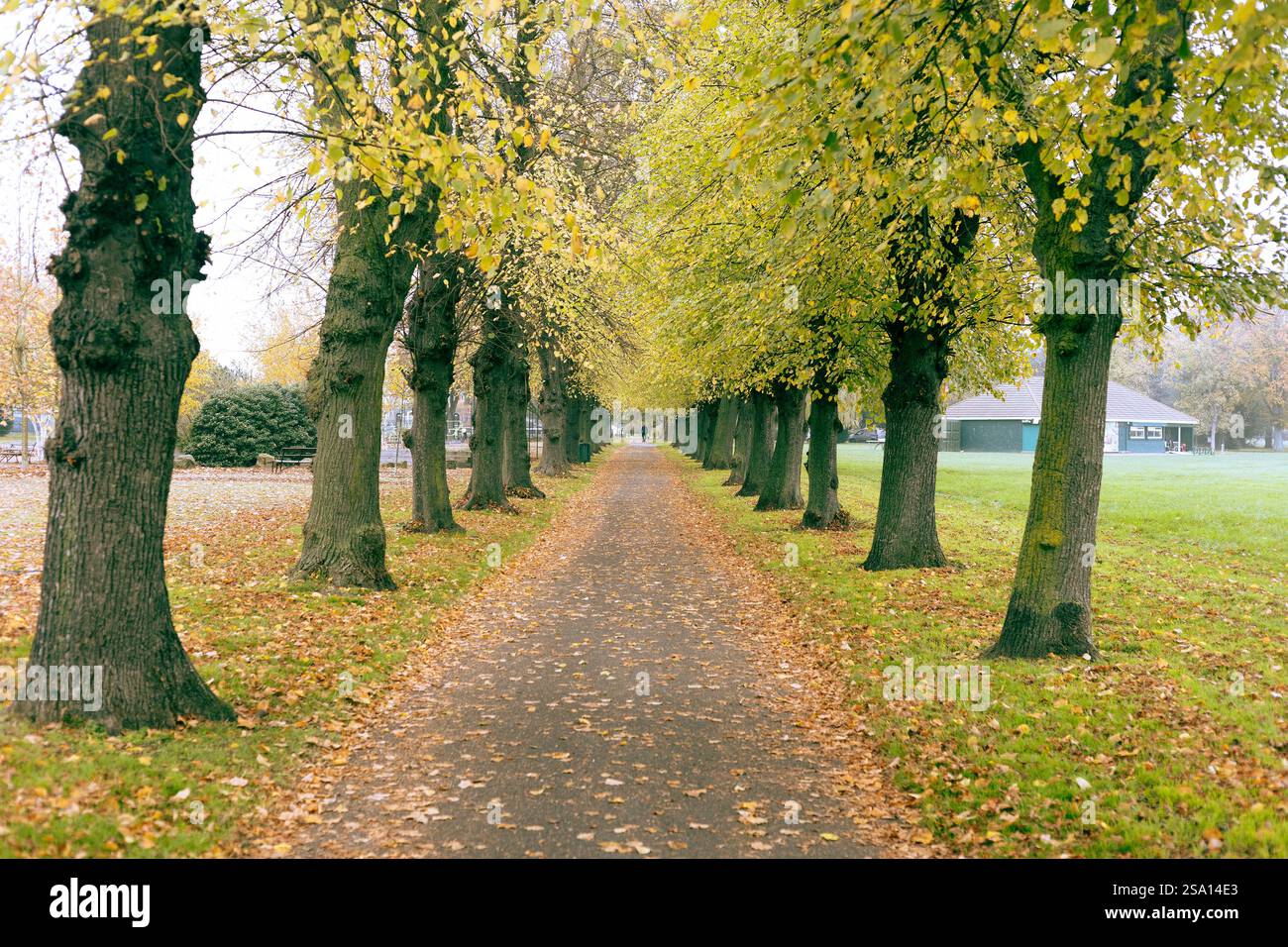 Ilford, east London Stock Photo - Alamy