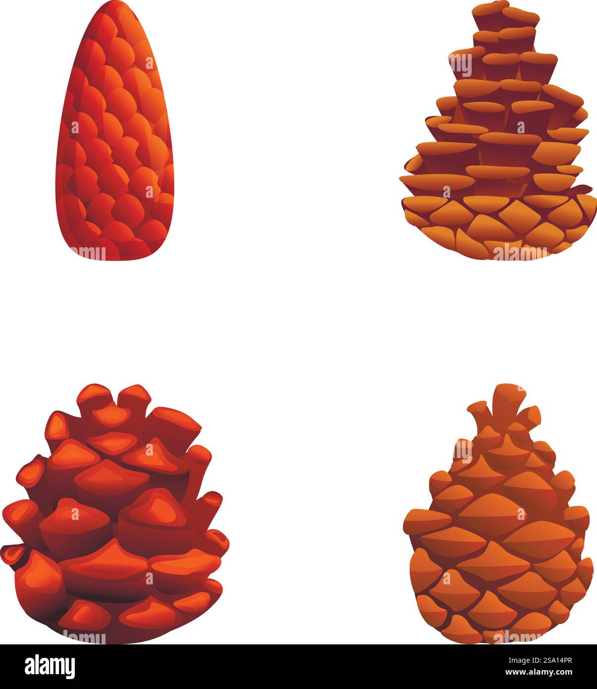 Fir cone icons set cartoon vector. Various coniferous tree cone. Plant ...
