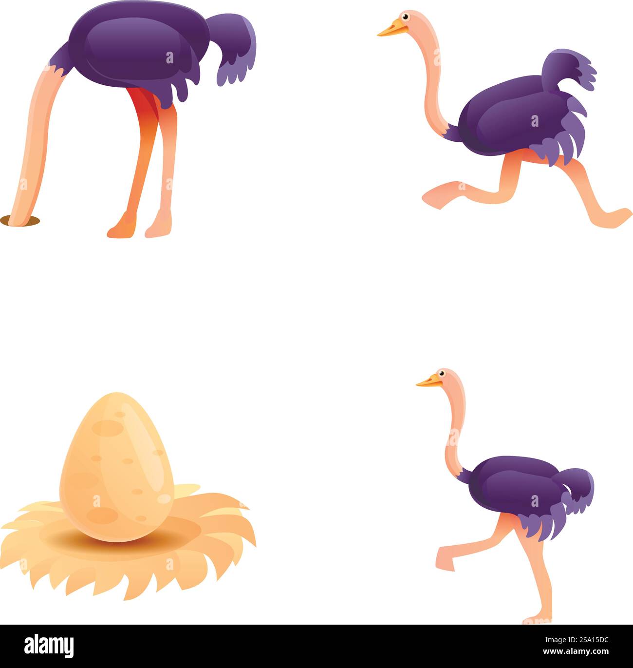 African ostrich icons set cartoon vector. Ostrich bird and big egg ...