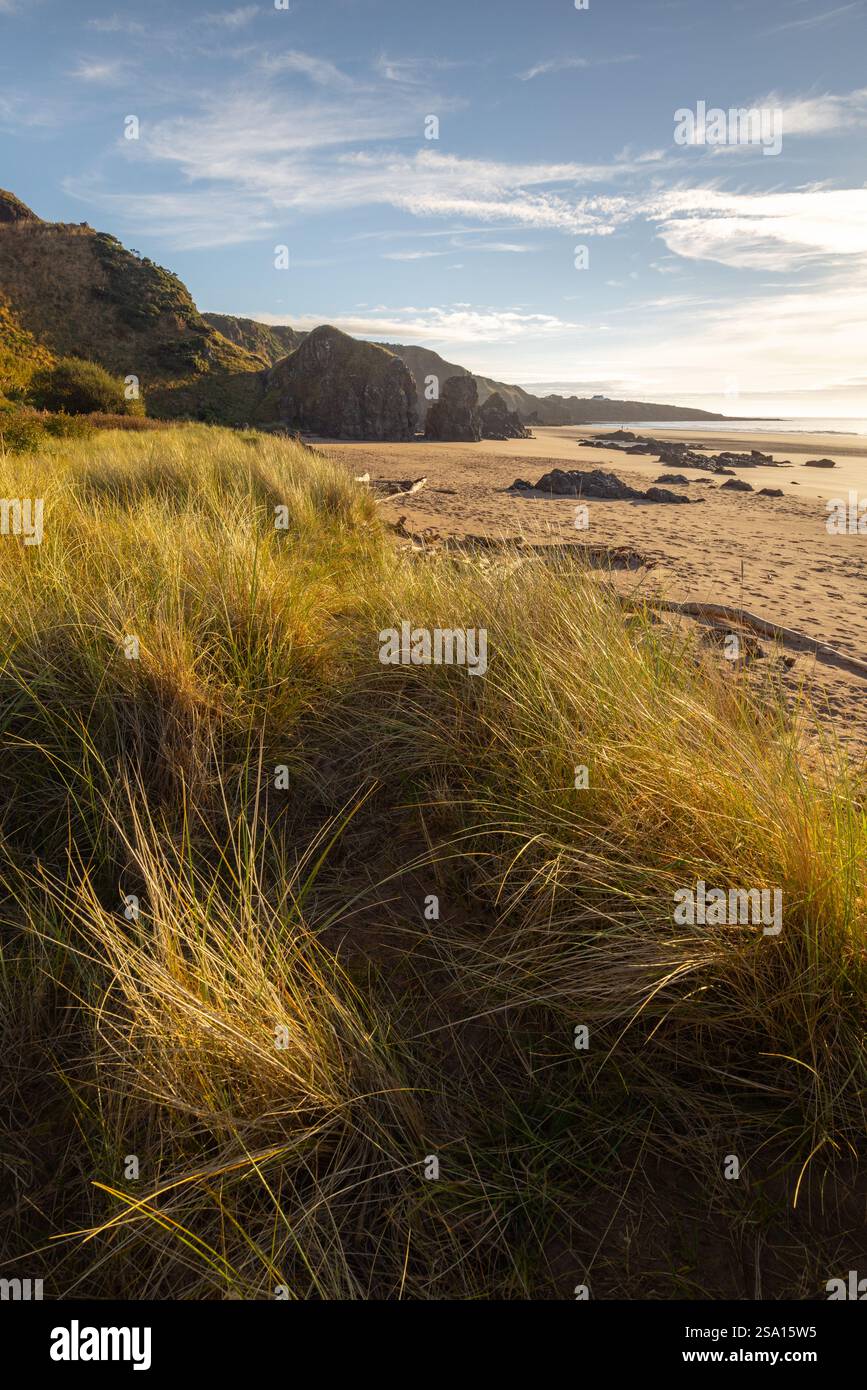 St Cyrus National Nature Reserve is a beautiful beach with sand dunes ...