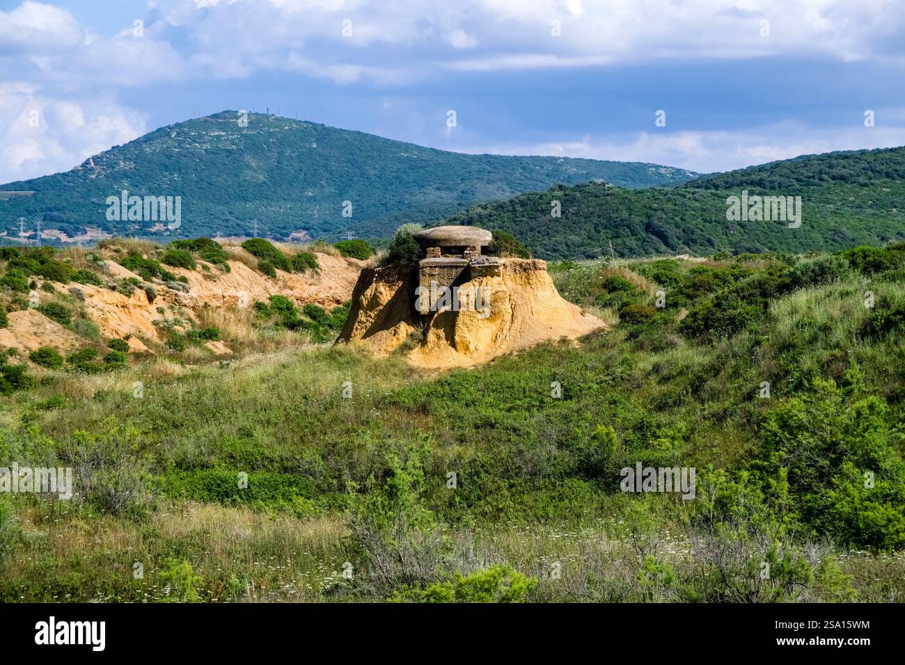A ruined bunker from the Second World War in a overgrown hilly ...