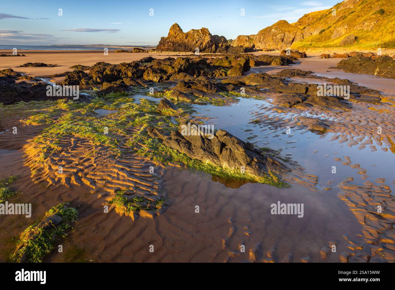 St Cyrus National Nature Reserve is a beautiful beach with sand dunes ...