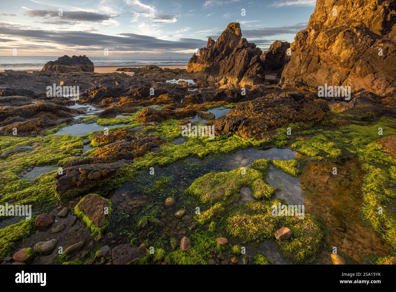 St Cyrus National Nature Reserve is a beautiful beach with sand dunes ...