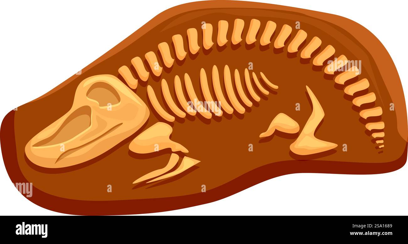 Layer fossil icon cartoon vector. Dinosaur skeleton. Bone evolution ...