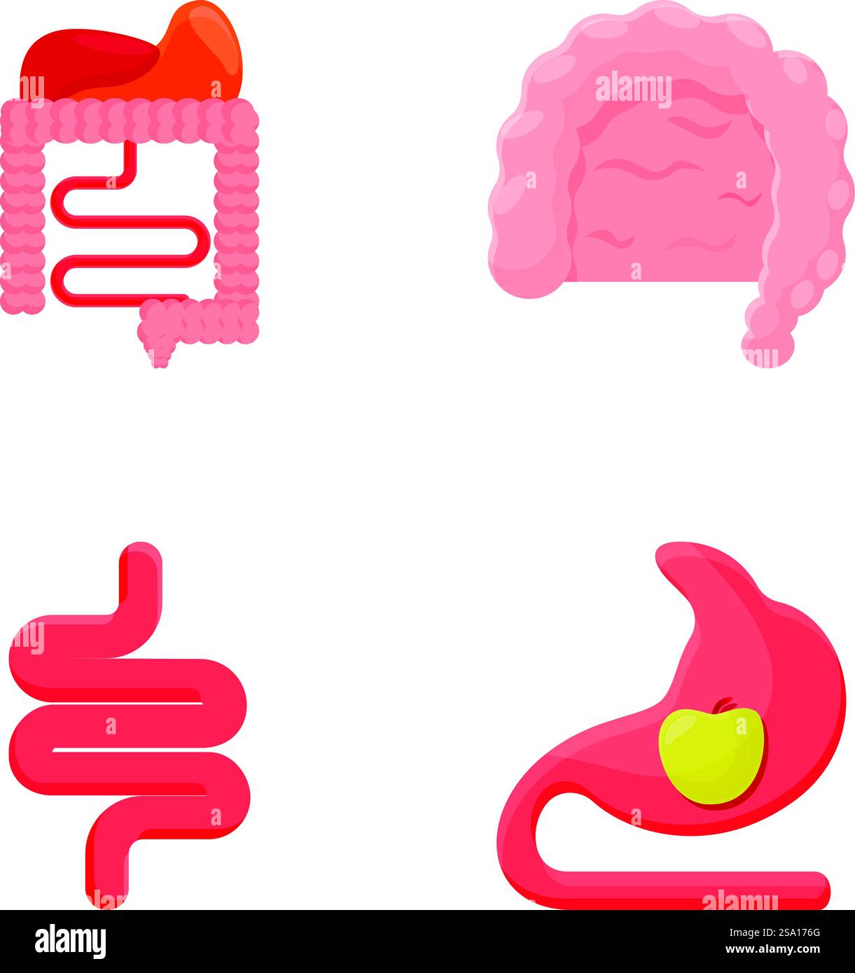 Digestion concept icons set cartoon vector. Human digestive system ...