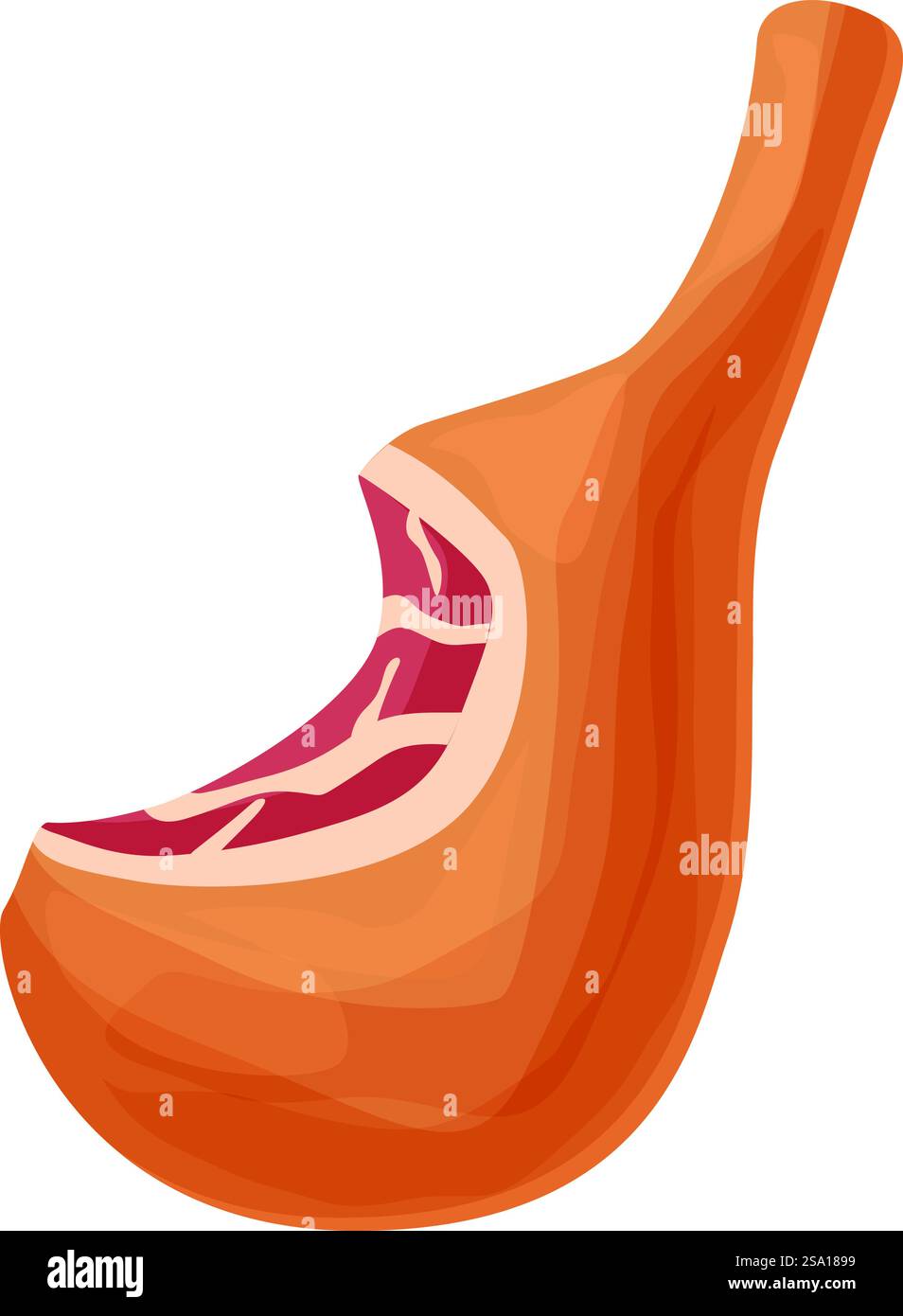 Bite jamon icon cartoon vector. Pig food ham. Meat spain dish. Bite ...