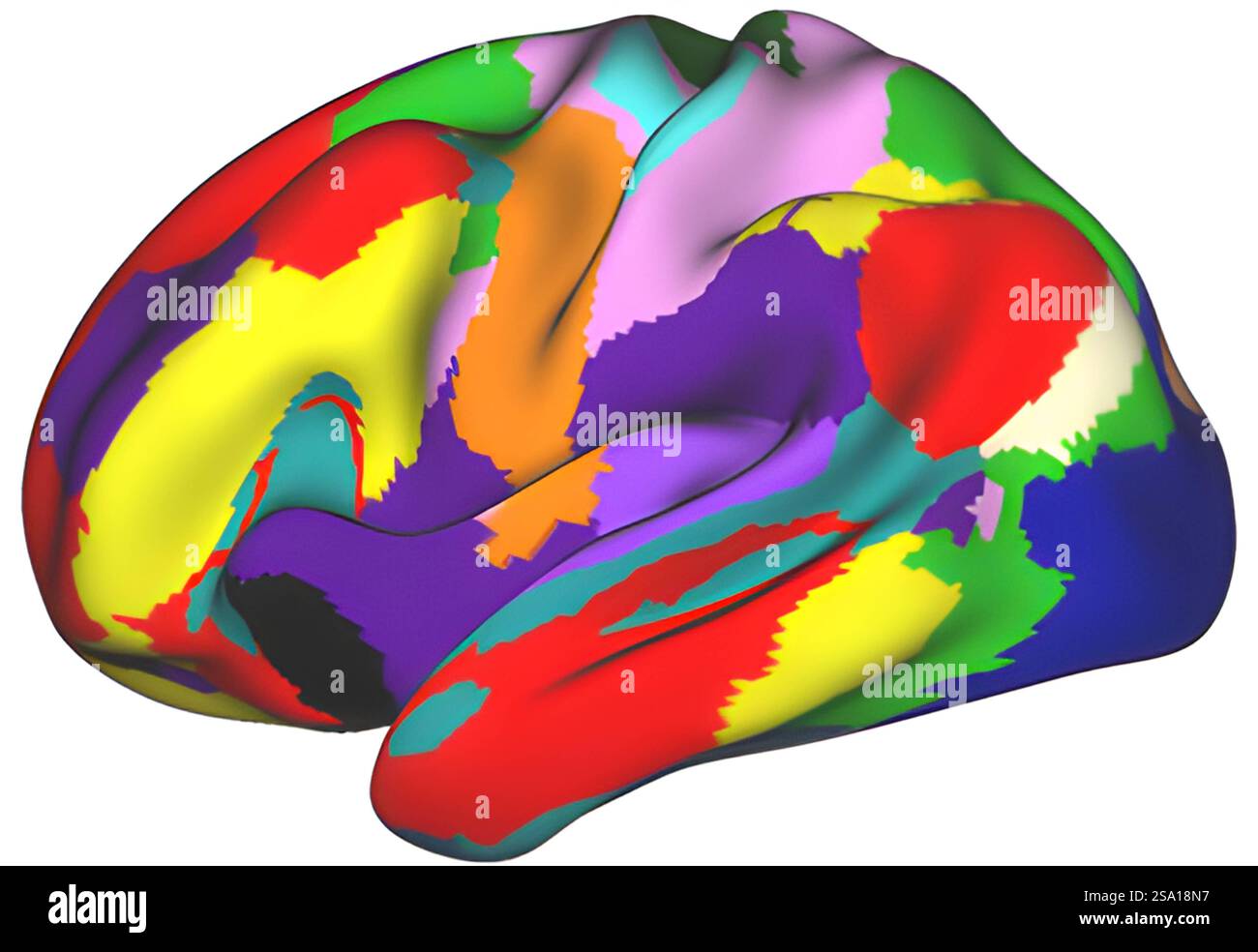 NIH has renewed its commitment to the Adolescent Brain Cognitive ...