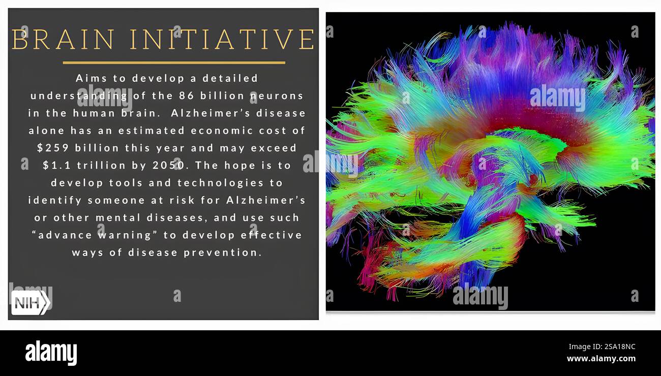A graphic with a few facts about the BRAIN Initiative research program ...