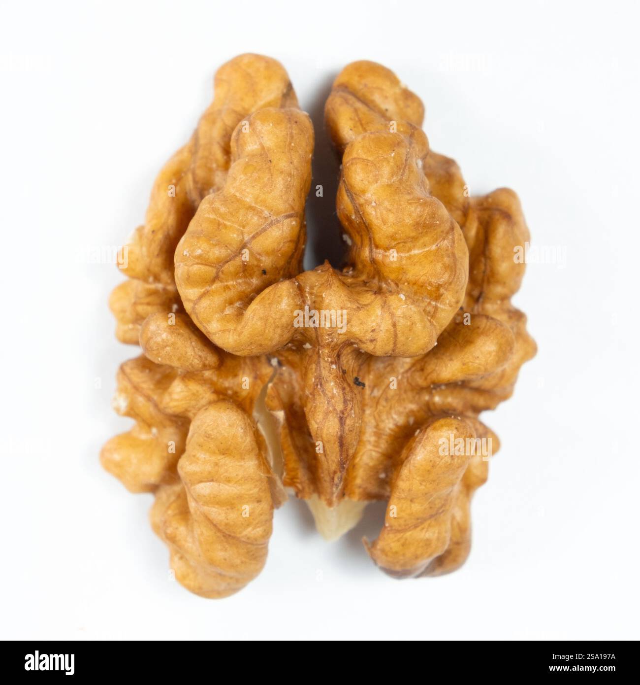 Macro peeled walnut, kernel, white isolate background, top view Stock ...