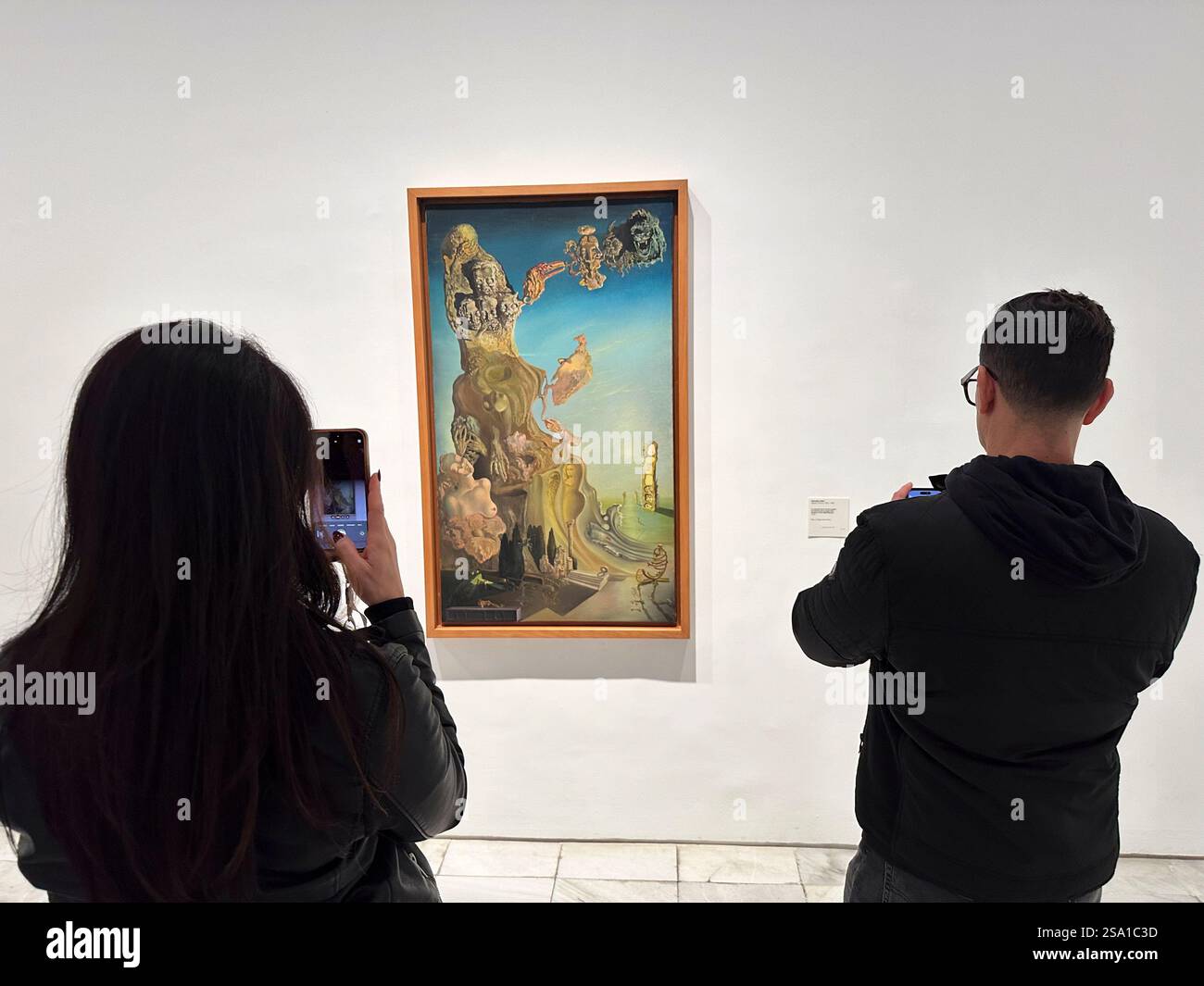 Reina Sofia museum, Two people can be seen photographing a Salvador Dali masterpiece, Madrid ...