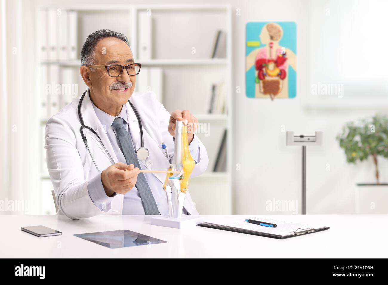 Orthopedic doctor explaining a knee bone model at the office Stock ...