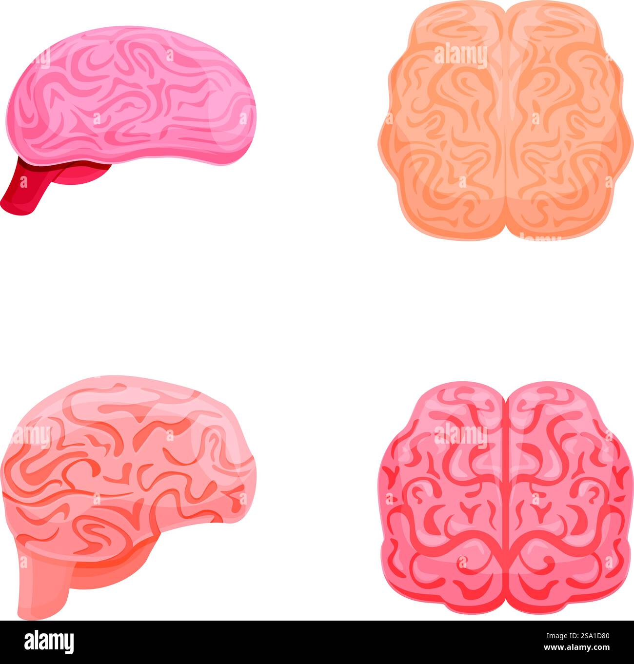 Human brain icons set cartoon vector. Left and right hemisphere of ...