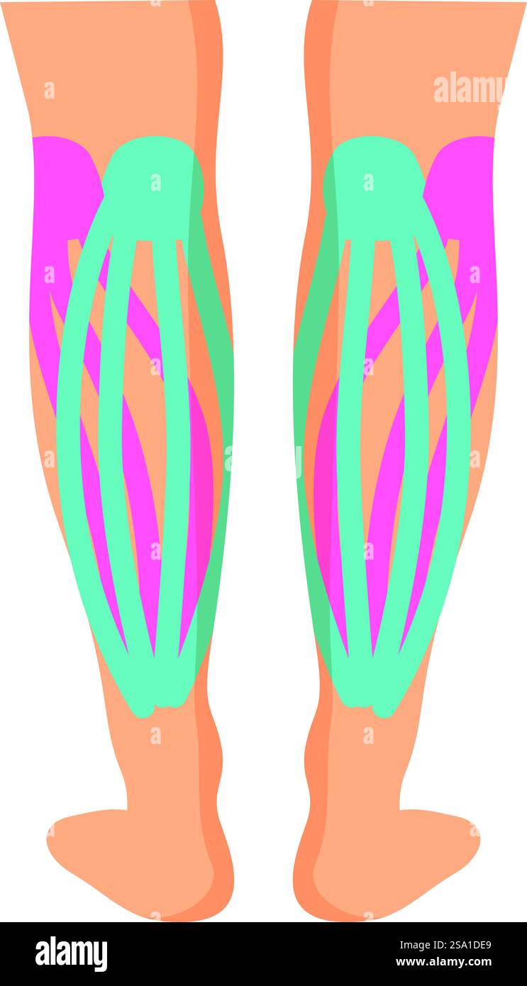 Legs muscle kinesio icon cartoon vector. Sport tape. Pain therapy ...