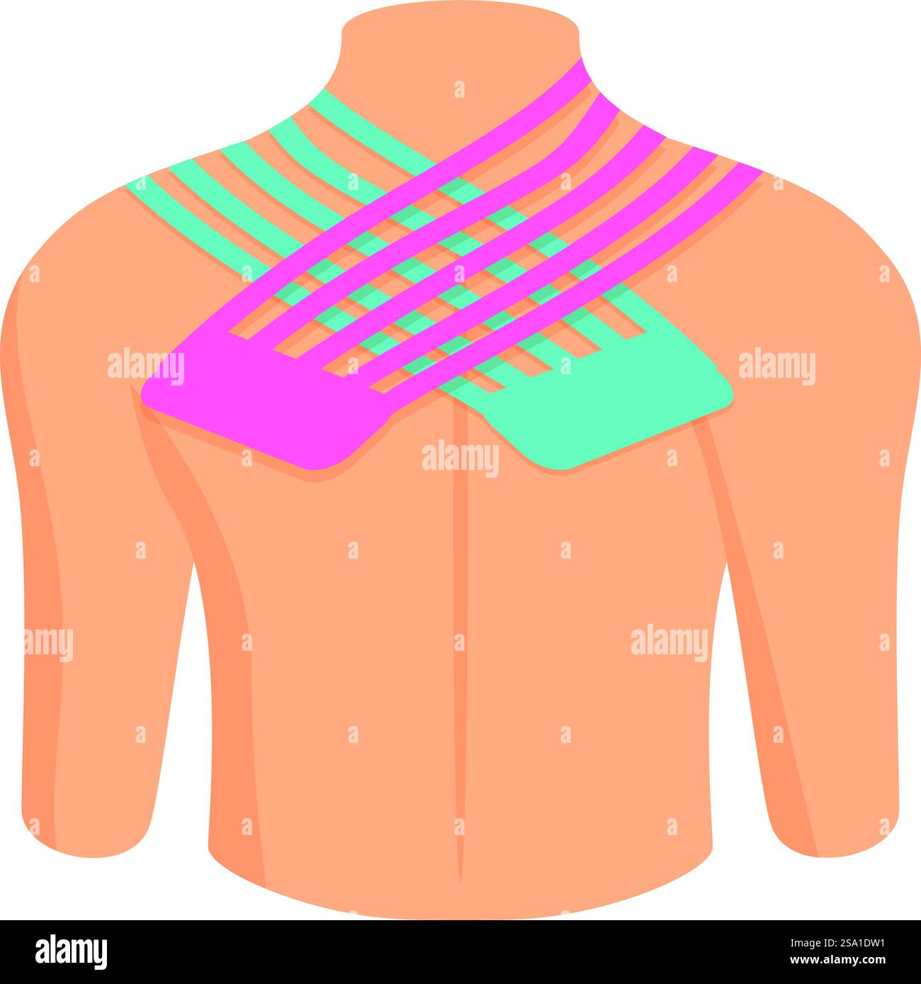 Back cross bandage icon cartoon vector. Kinesio tape. Muscle support ...