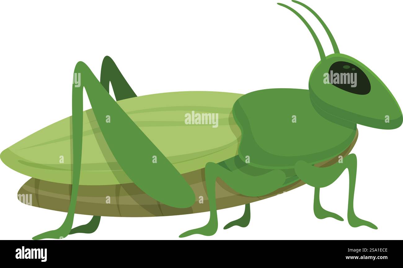 Grasshopper leg icon cartoon vector. Creature bug. Natural insect life ...