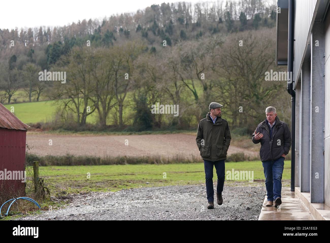 The Prince of Wales during a visit to Lower Blakemere Farm, a Duchy ...