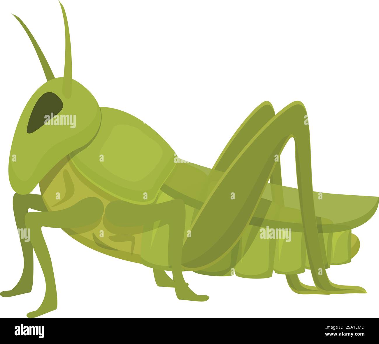 Pest grasshopper icon cartoon vector. Fly ant insect. Character green ...