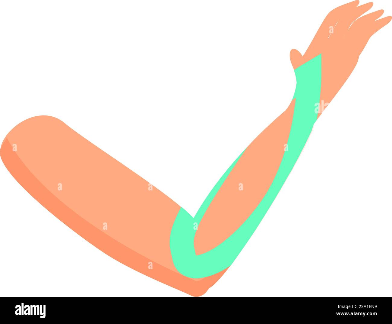 Hand kinesio tape icon cartoon vector. Fitness gym. Sport line muscle ...