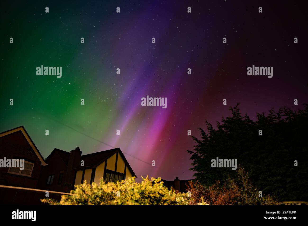 Green, pink and purple Northern Lights on the night sky. Aurora ...