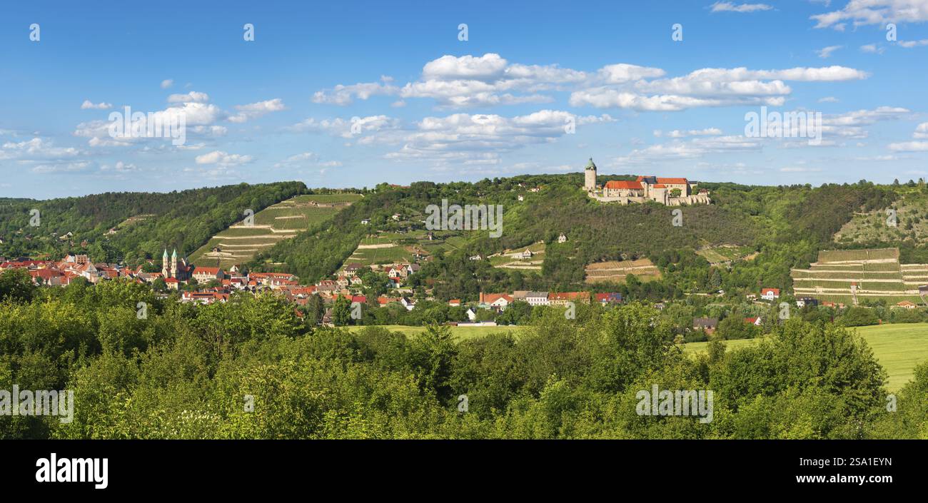 View of the wine-growing town of Freyburg with vineyards and Neuenburg ...