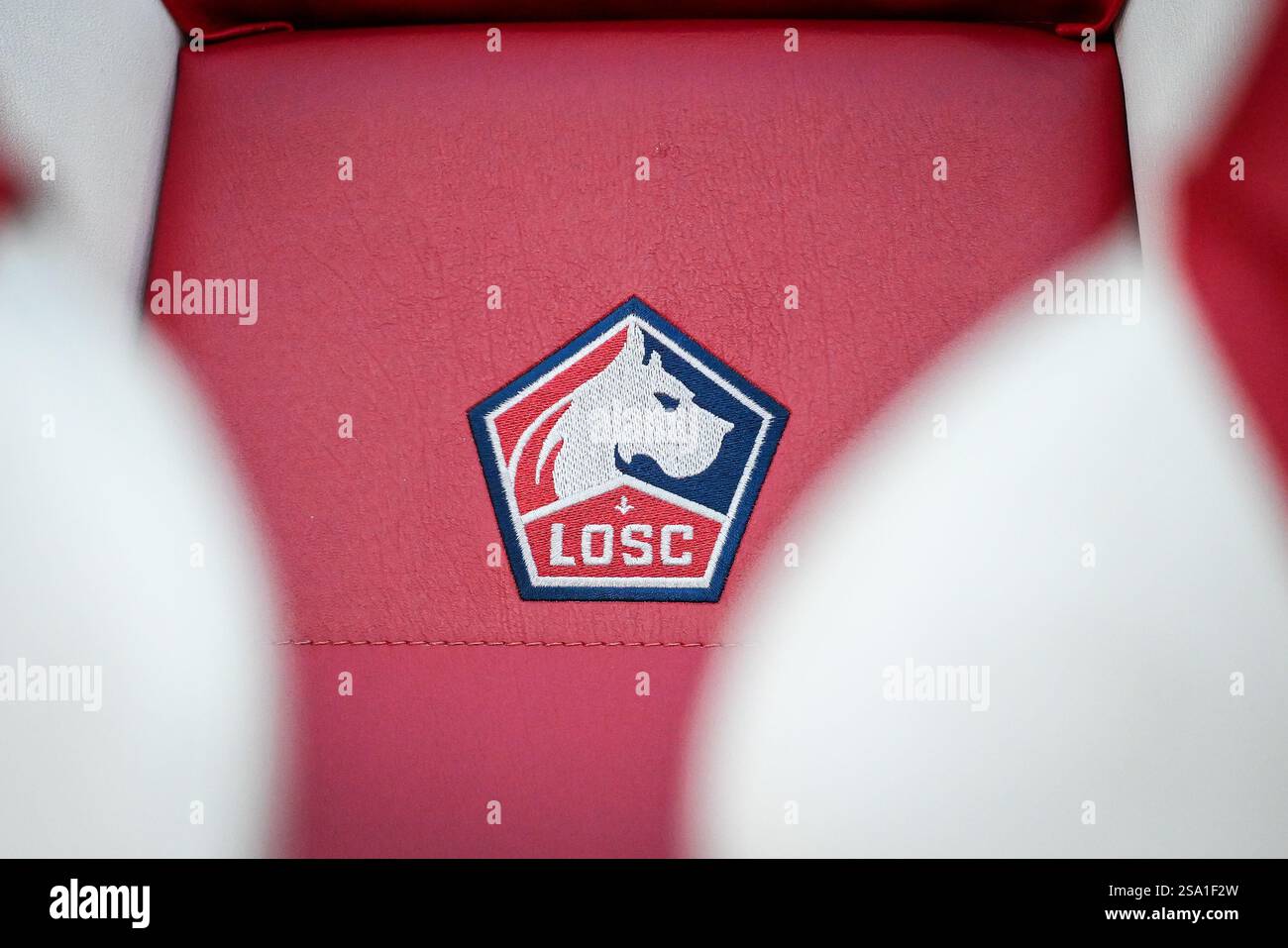 Illustration of the official logo of Lille during the French ...