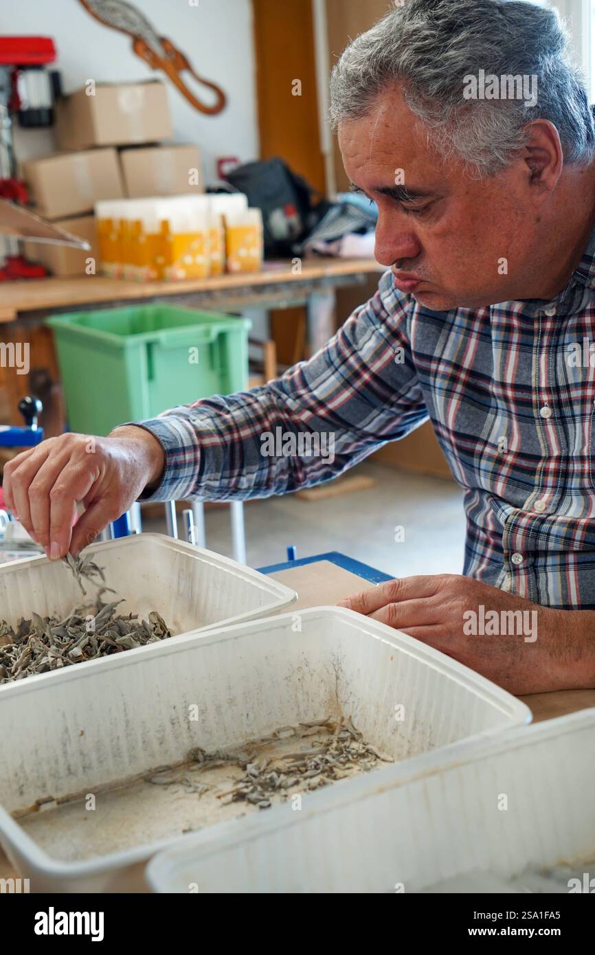 Disabled worker working in the ESAT product packaging workshop ...