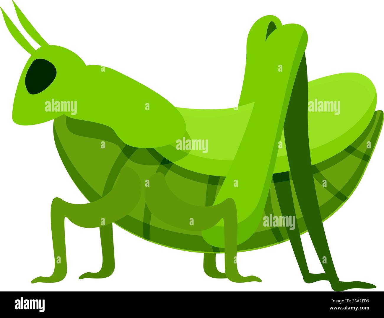 Grasshopper insect icon cartoon vector. Wildlife locust. Fly art ant ...