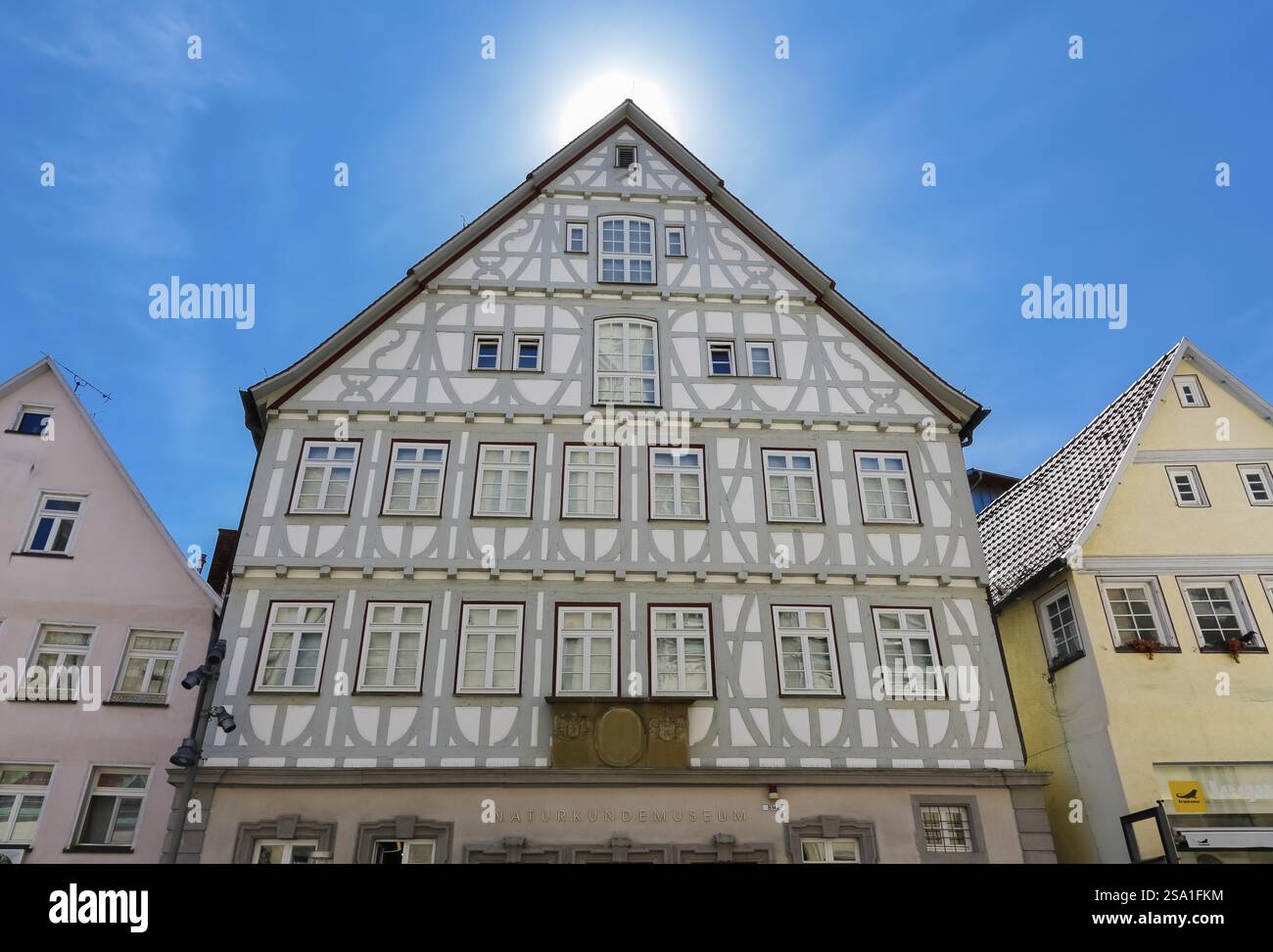 Natural History Museum Reutlingen, exhibition building, museums, half ...