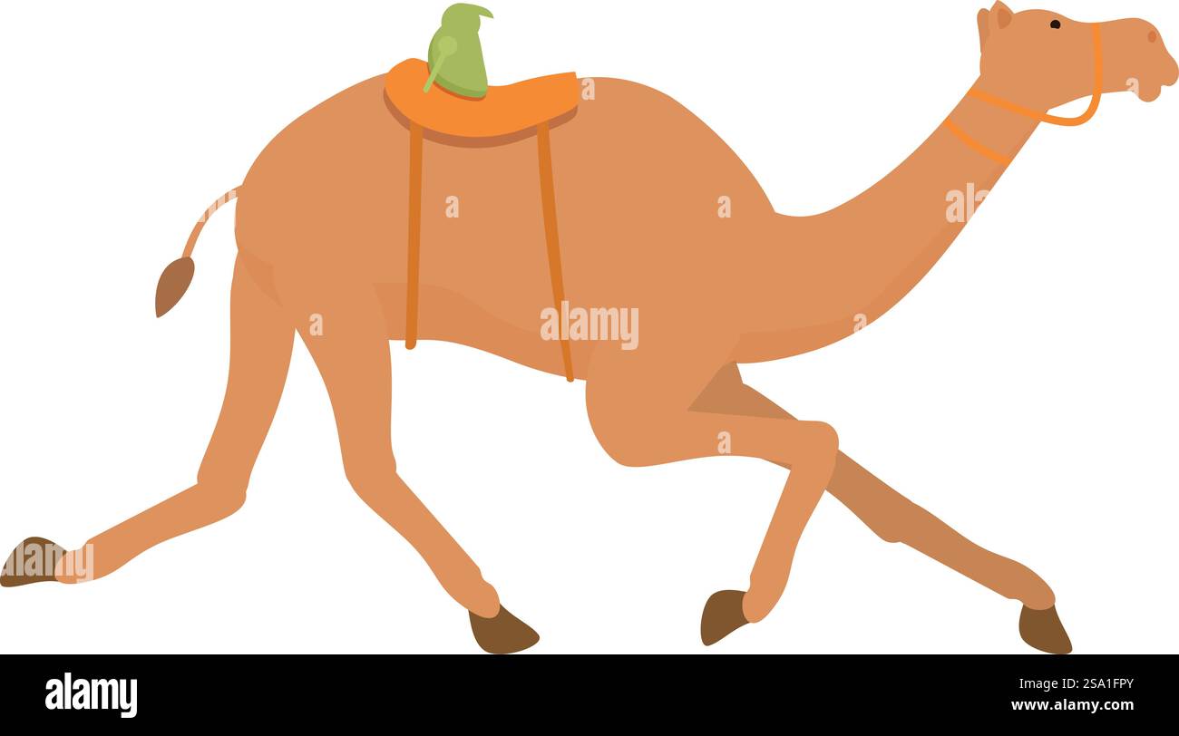 Speed camel run icon cartoon vector. Riding farming. Fast farm track ...