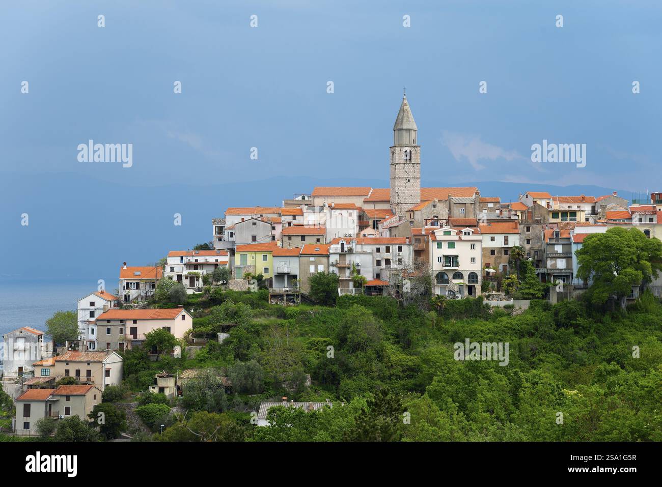Elevation with densely built-up village, striking church tower and surrounding vegetation ...