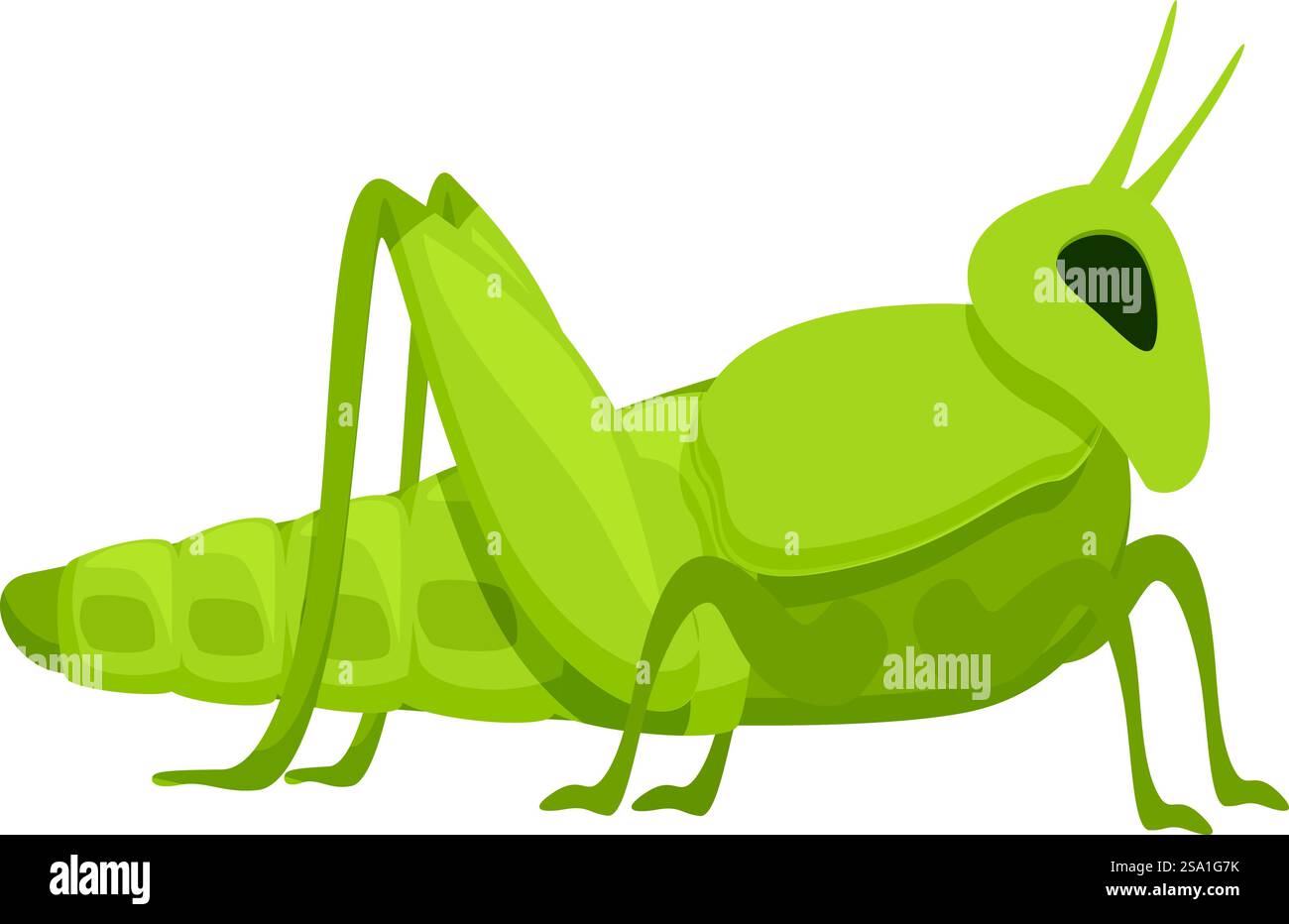 Cute grasshopper icon cartoon vector. Color life. Natural wildlife ...