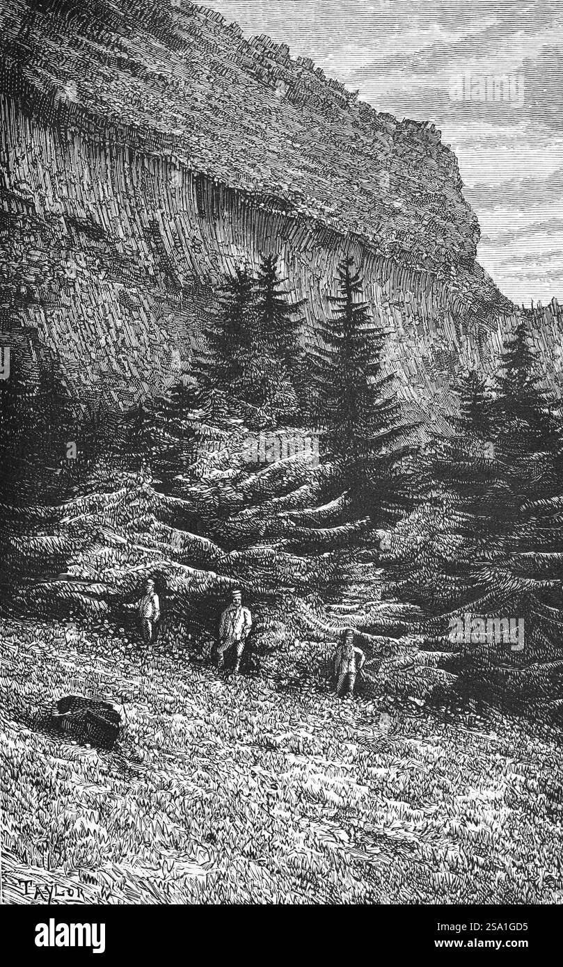Mountain landscape in the Hungarian Carpathians, steep slope, fir trees ...