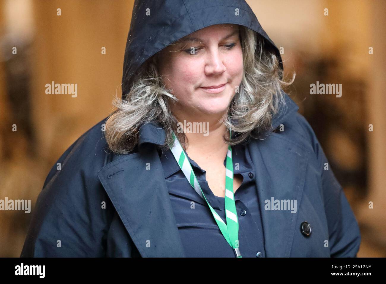 London, United Kingdom. 28th Jan, 2025. Heidi Alexander MP, Secretary ...