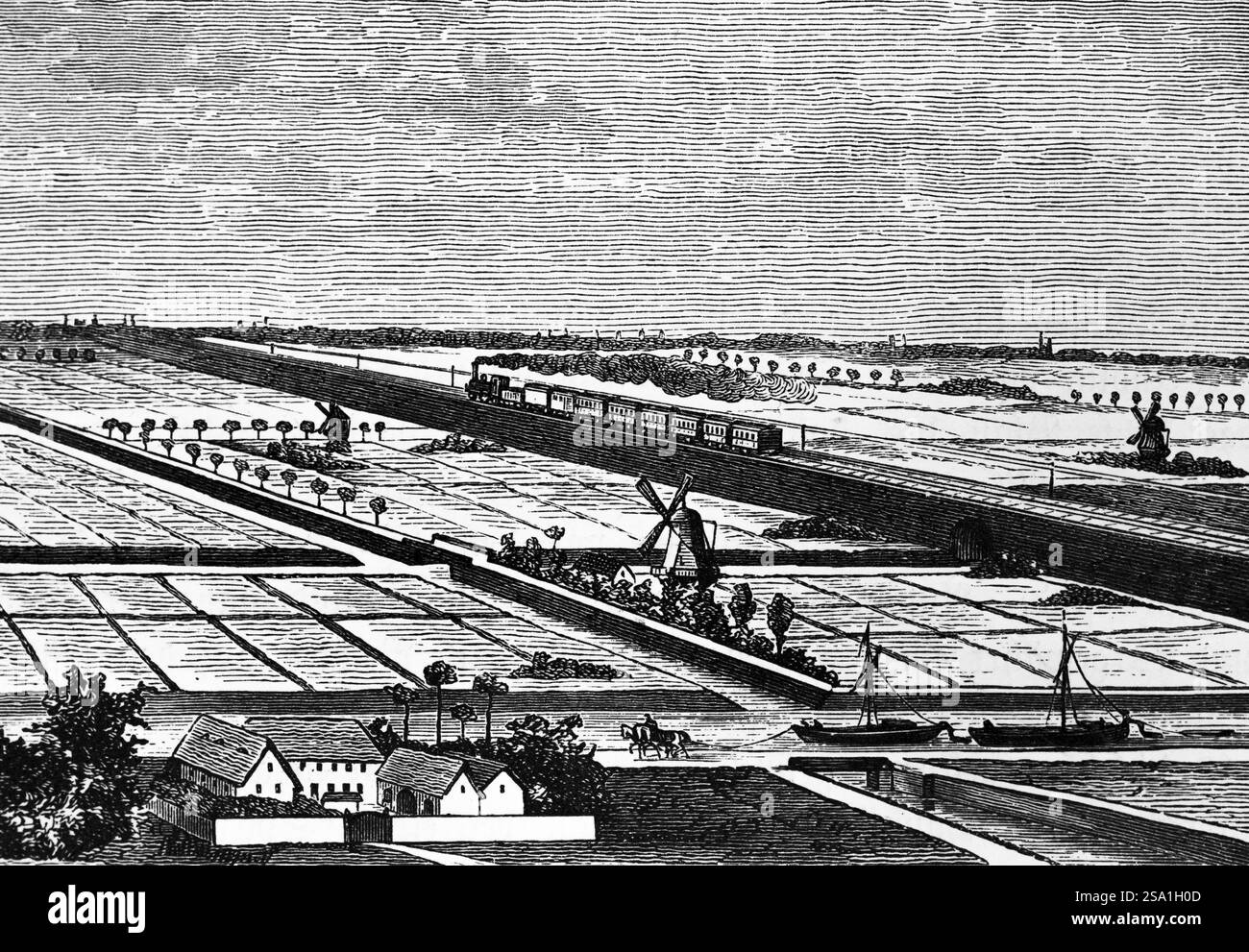 In the polders of Holland, agriculture on the fertile soils of the ...