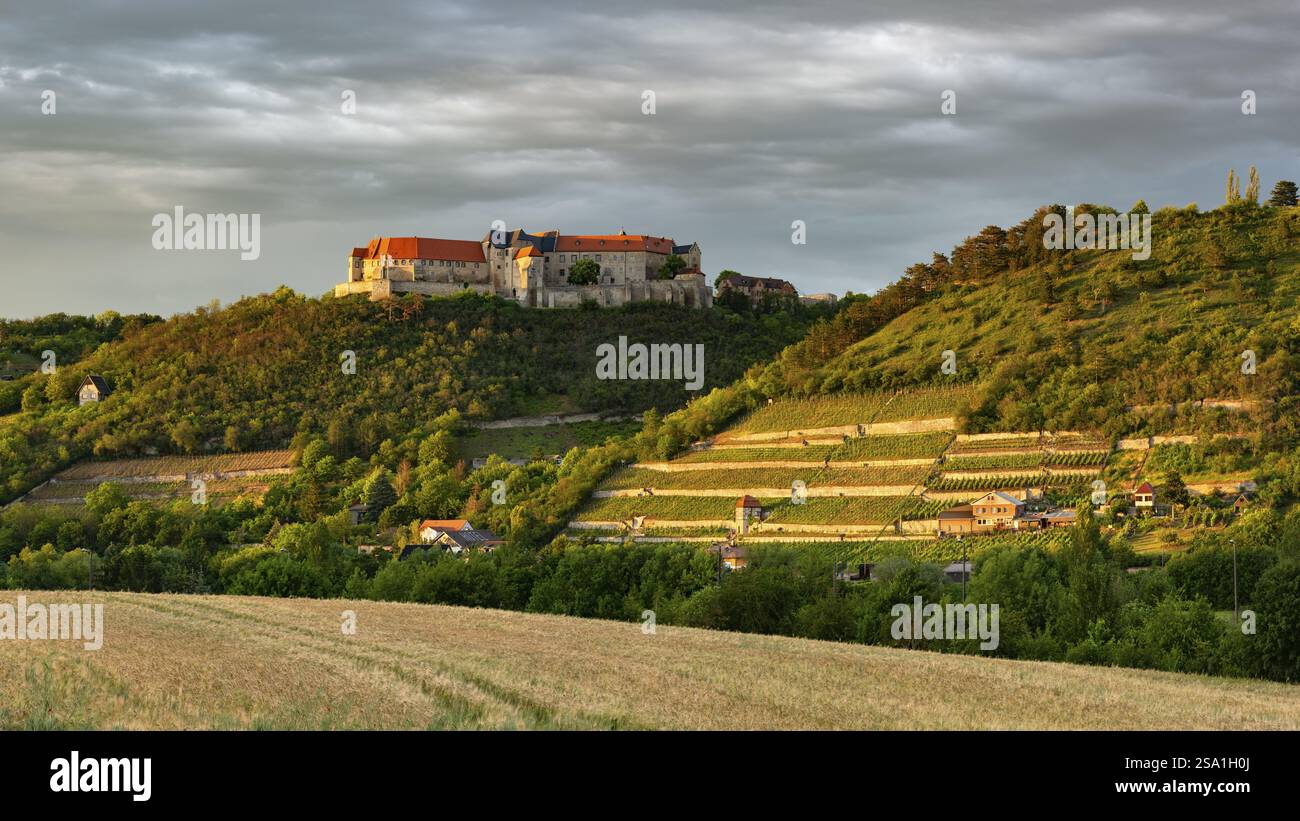 Neuenburg castle with vineyard and place hi-res stock photography and ...
