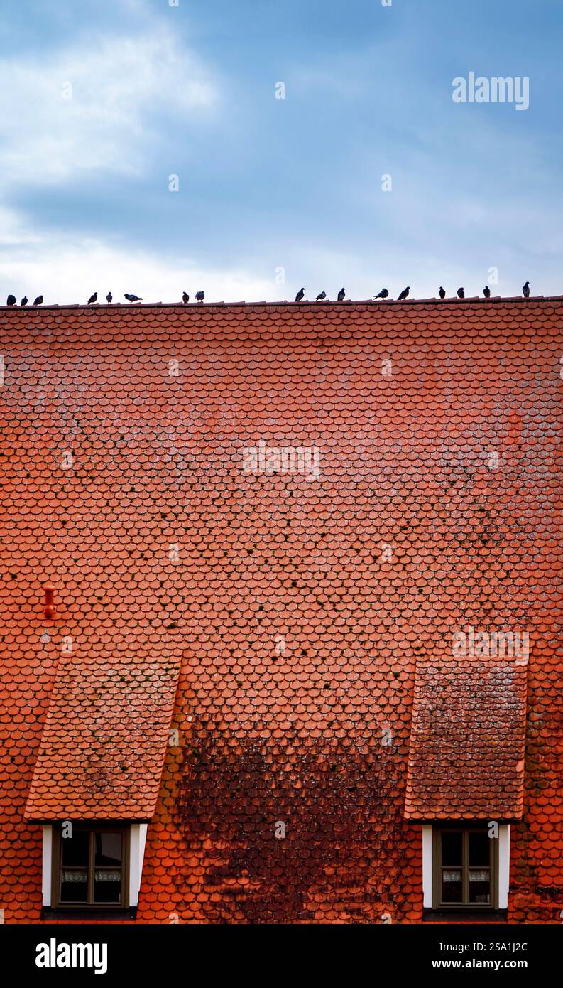 A rustic red-tiled roof with a weathered appearance, featuring two ...