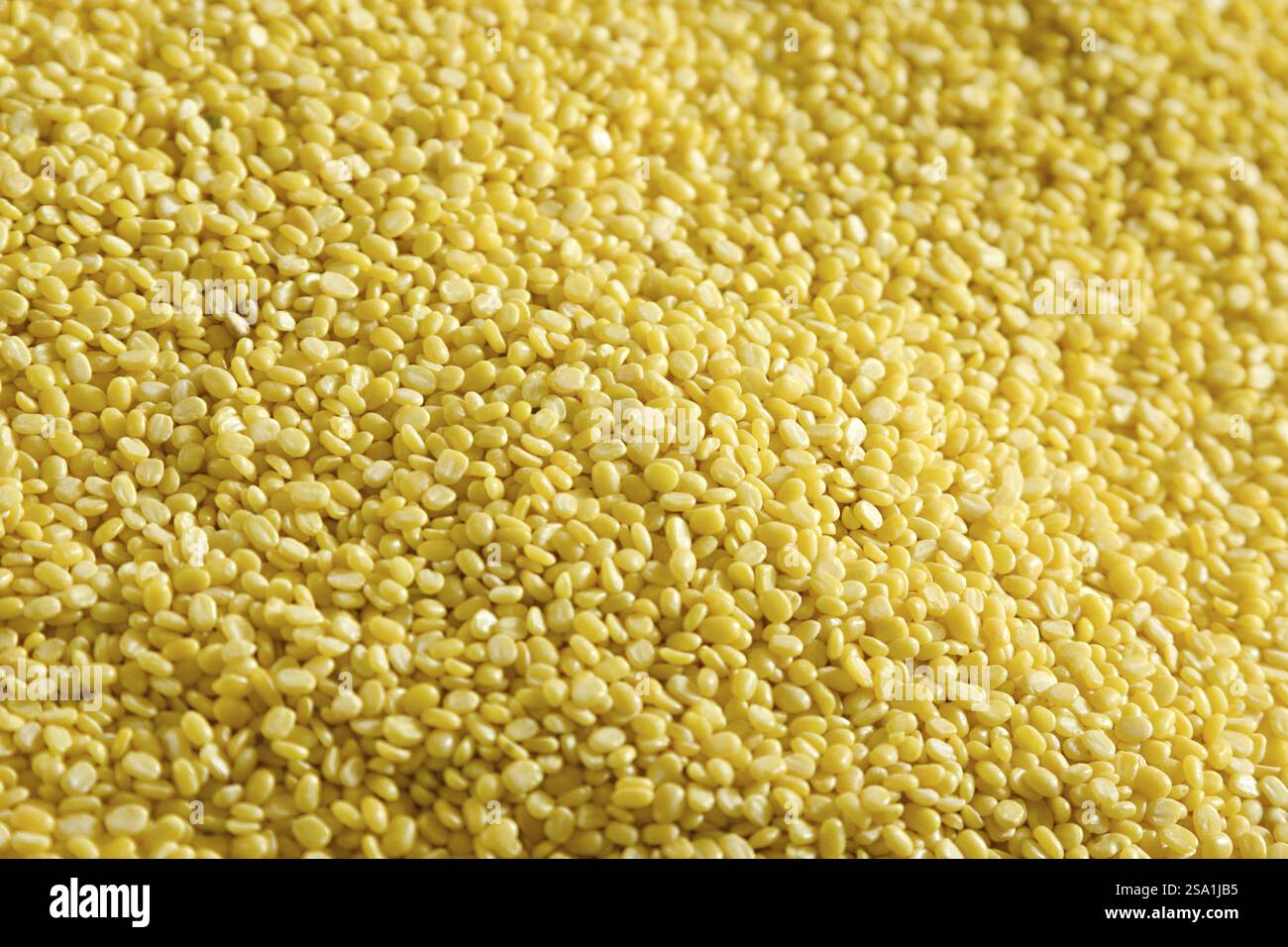 Beans, Moong Dal, Split Skinned Mung Beans, Phaseolus aureus, India ...