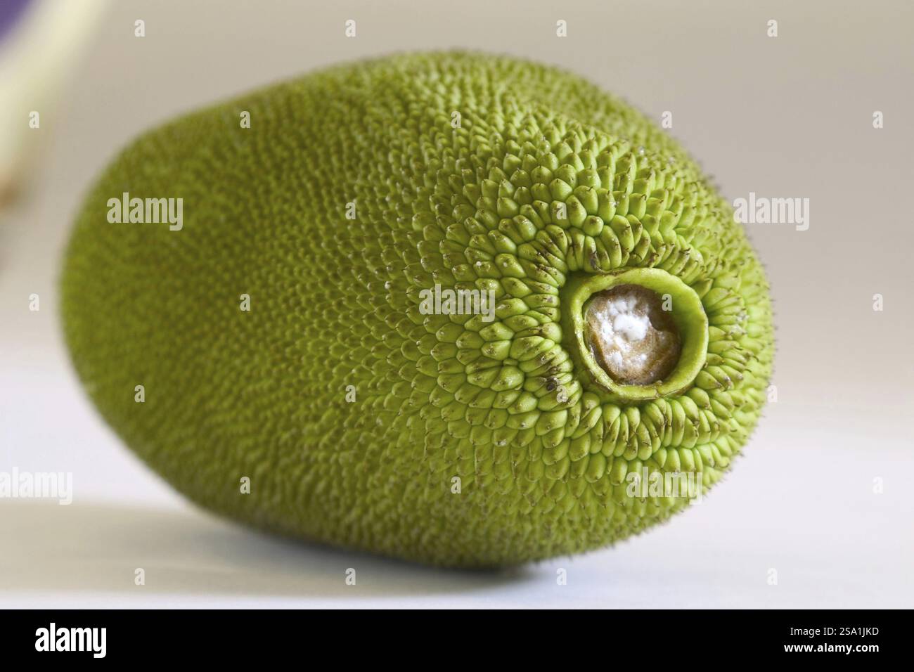 Fruit, Jackfruit Kathal phanus, India, Asia Stock Photo - Alamy