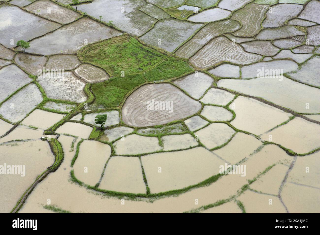 An aerial view of farming land immersed in water flood rocked in Raigad ...