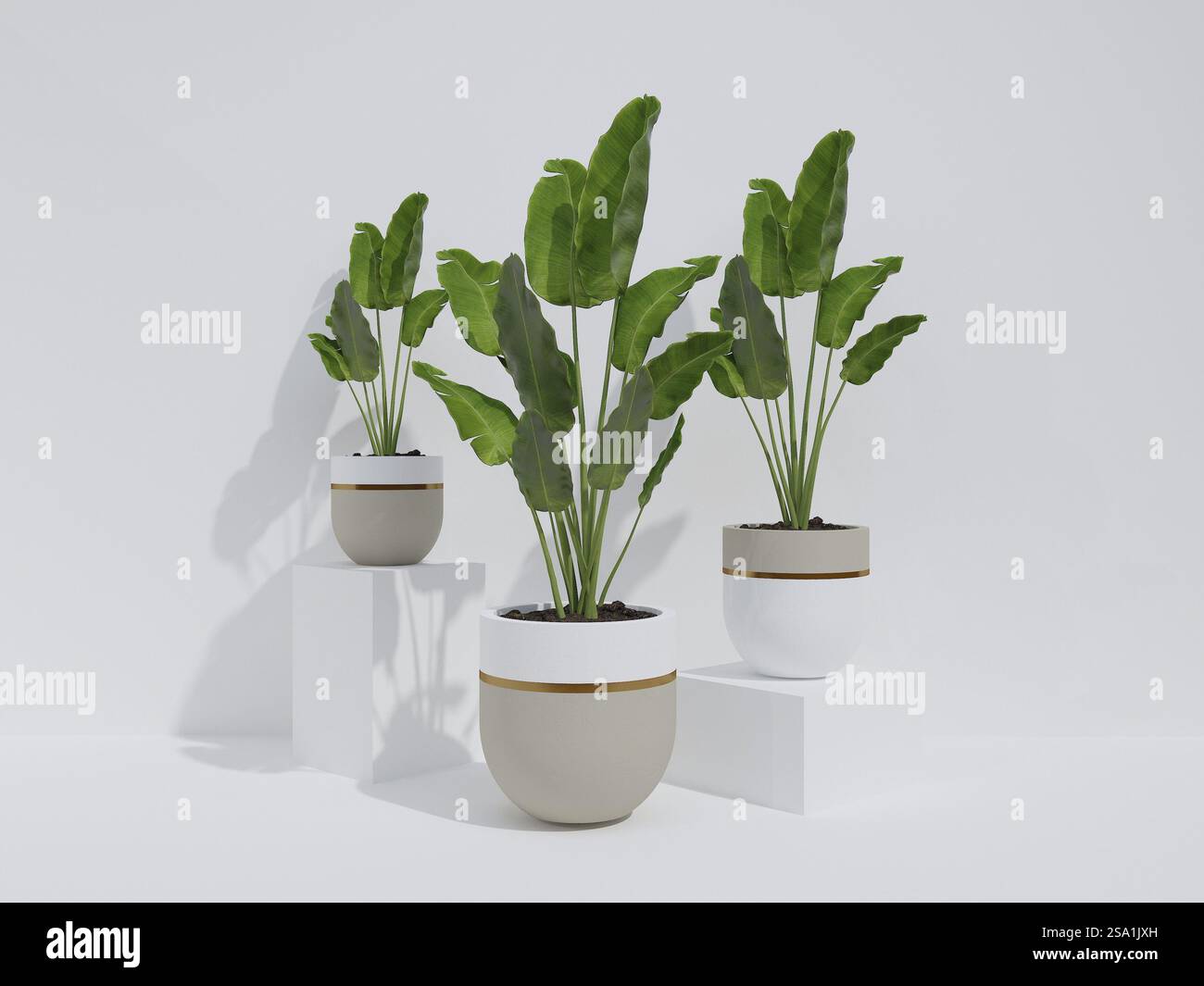 Three potted plants in modern, minimalist pots with a neutral color ...