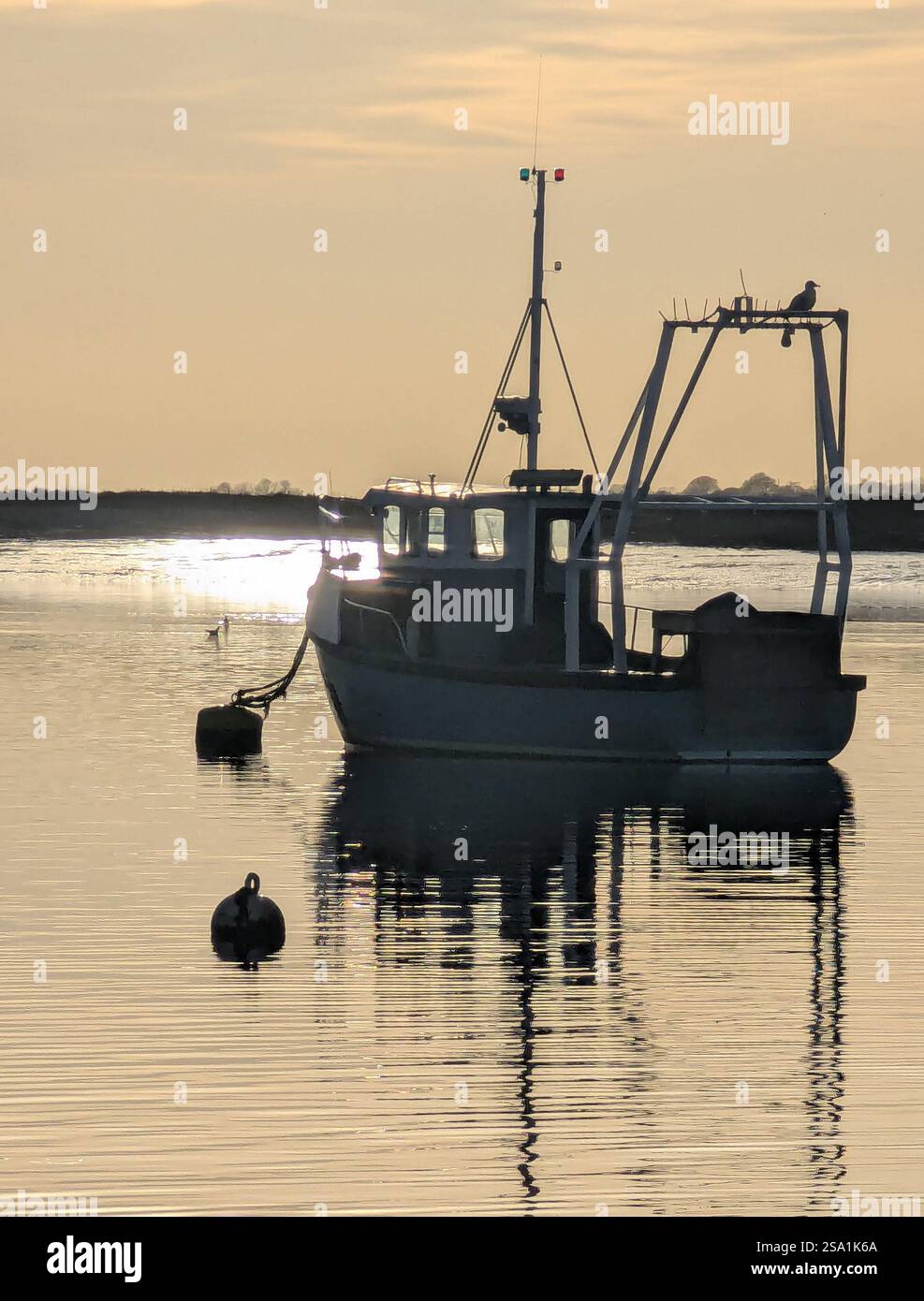 Mersea island fishing hi-res stock photography and images - Alamy
