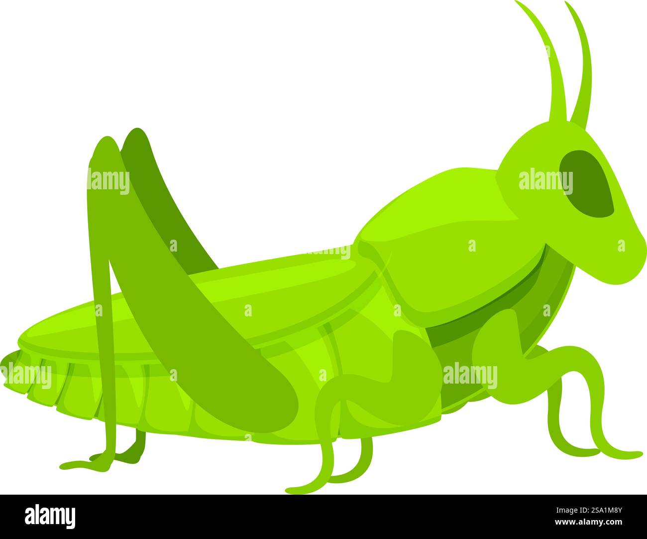 Grasshopper character icon cartoon vector. Art ant. Locust pest fun ...