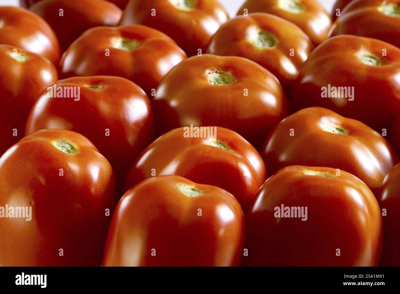 Vegetable, Tomatoes, India, Asia Stock Photo - Alamy
