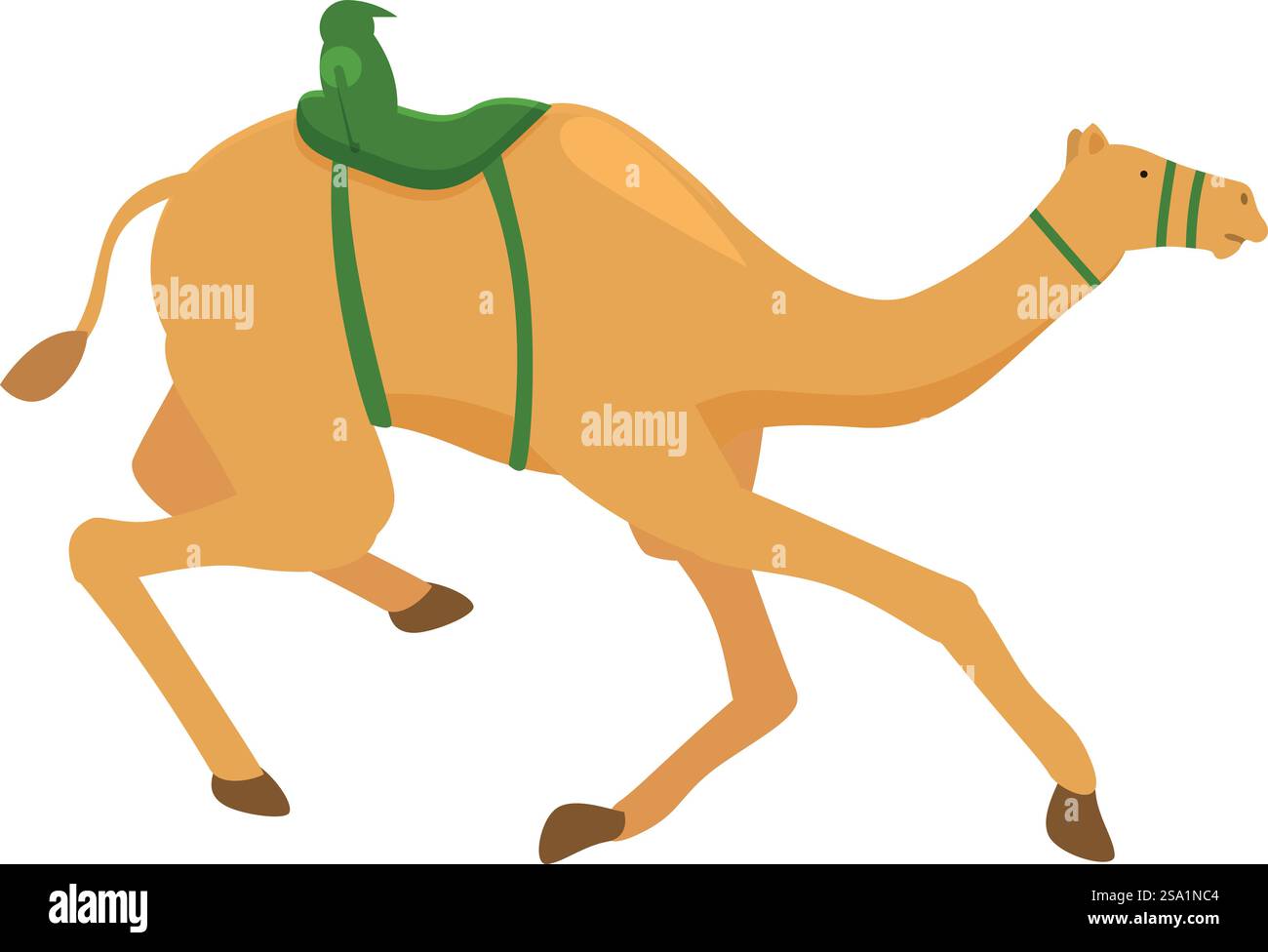 Galloping camel icon cartoon vector. Run sport tradition. Festival in ...
