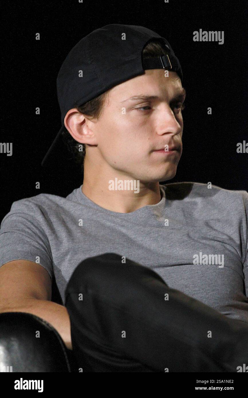 Actor Tom Holland made an appearance at the 2019 Keystone Comic Con at ...