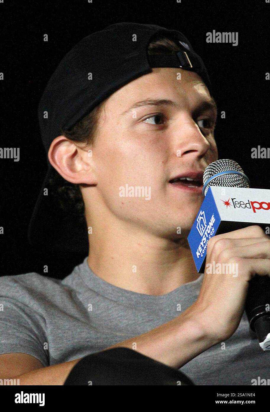 Actor Tom Holland made an appearance at the 2019 Keystone Comic Con at ...