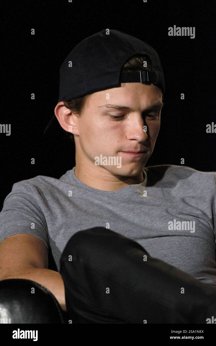 Actor Tom Holland made an appearance at the 2019 Keystone Comic Con at ...