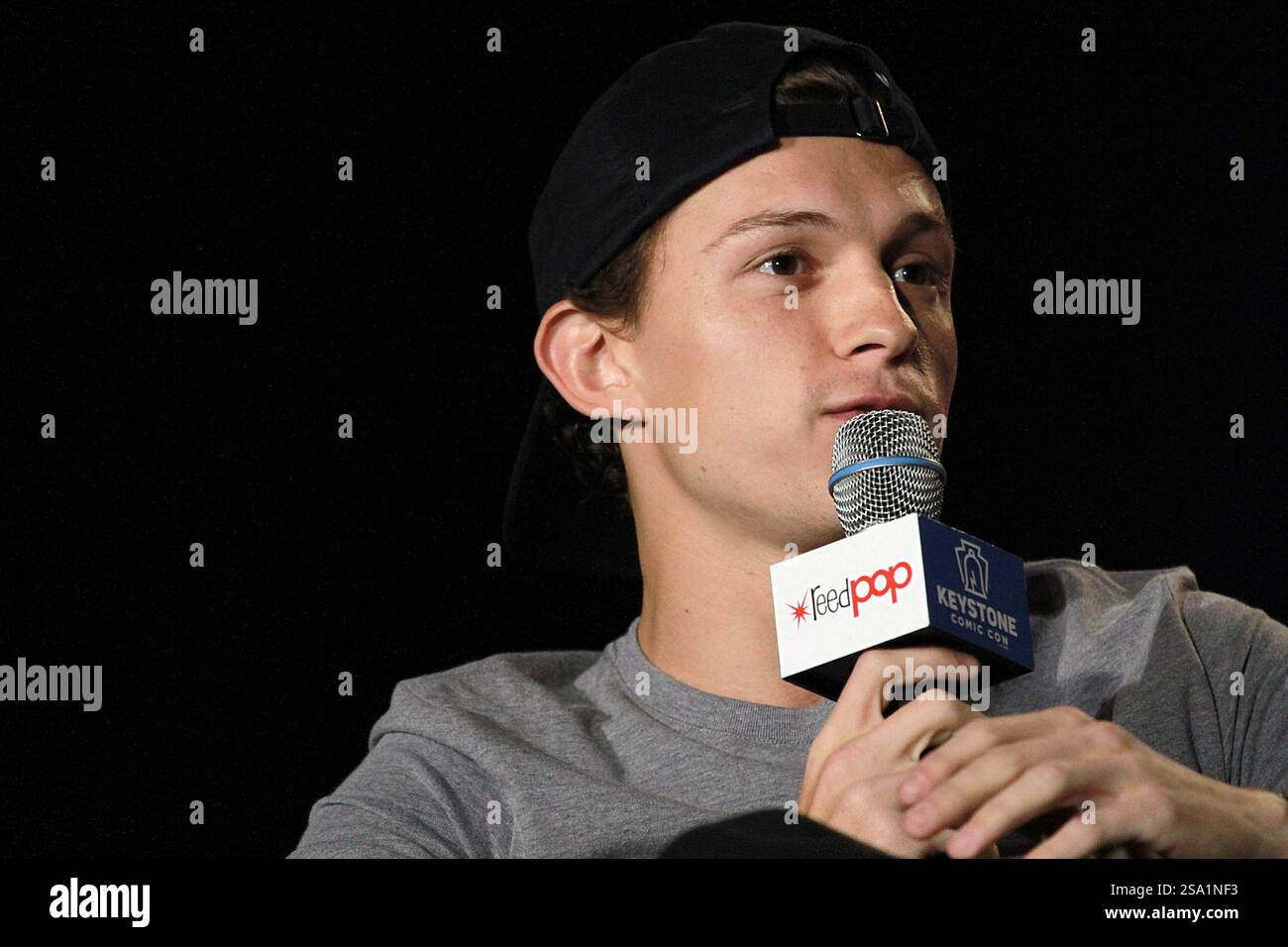 Actor Tom Holland made an appearance at the 2019 Keystone Comic Con at ...