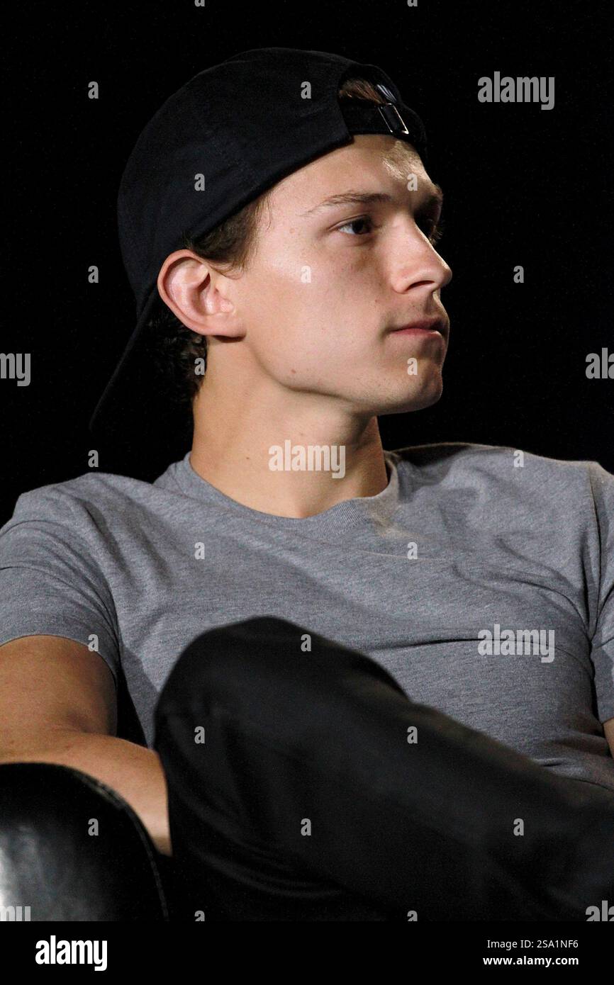 Actor Tom Holland made an appearance at the 2019 Keystone Comic Con at ...